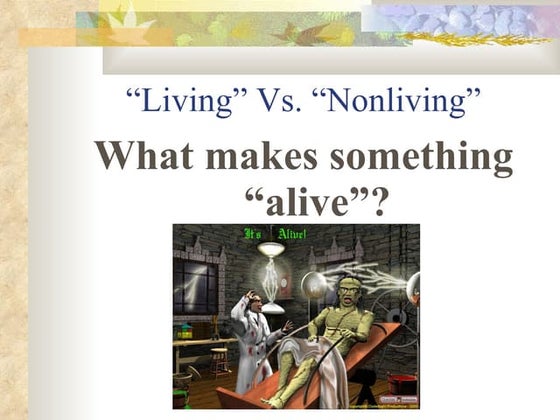 The 8 Life Processes & Homeostasis - Living Environment/Biology | PPTX