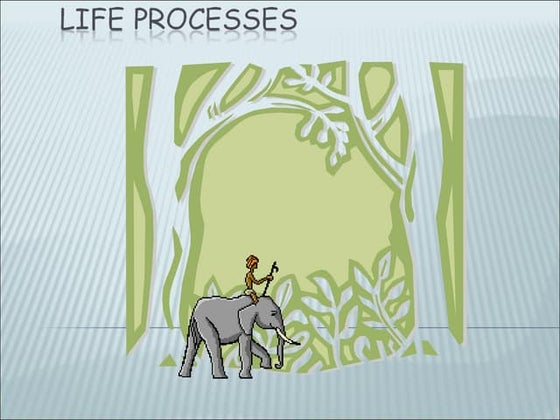 Lifeprocesses | PPT