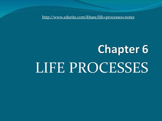 Life Processes Class 10th Ppt Ppt
