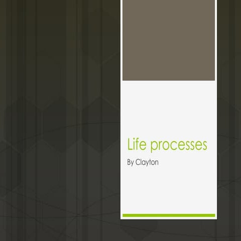 Life processes | PPTX