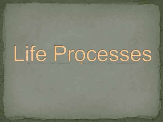 Life process | PPT