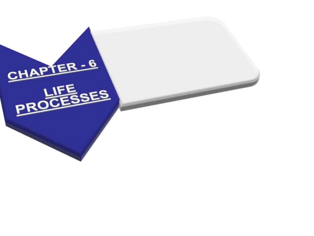 Life processes.ppt