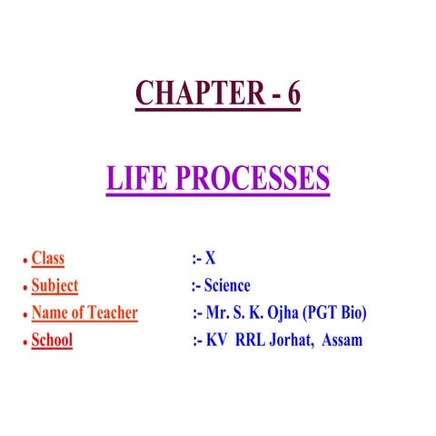Lifeprocesses ppt 10 th | PDF