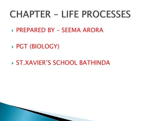 Worksheet on life processes.docx
