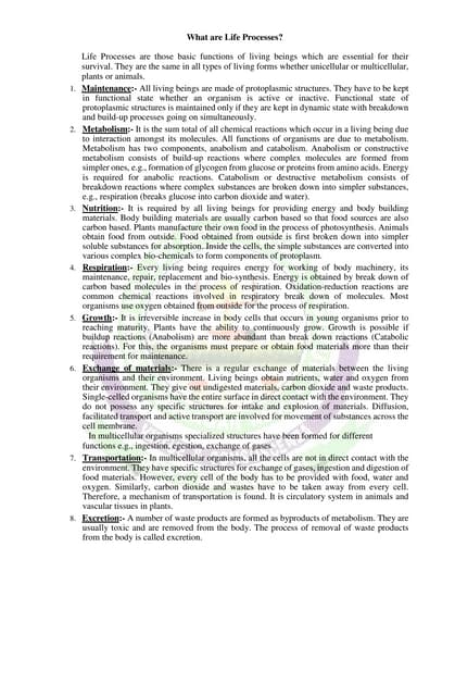 The 8 Life Processes & Homeostasis - Living Environment/Biology | PPTX