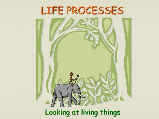 Lifeprocesses | PPT