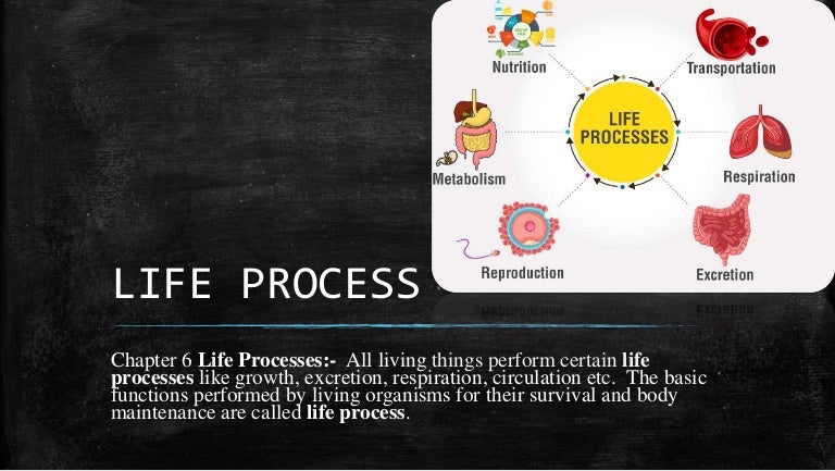 Life processes