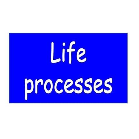 Life processes | PPT