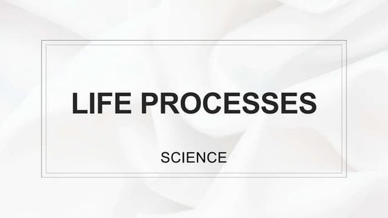 The 8 Life Processes & Homeostasis - Living Environment/Biology | PPTX