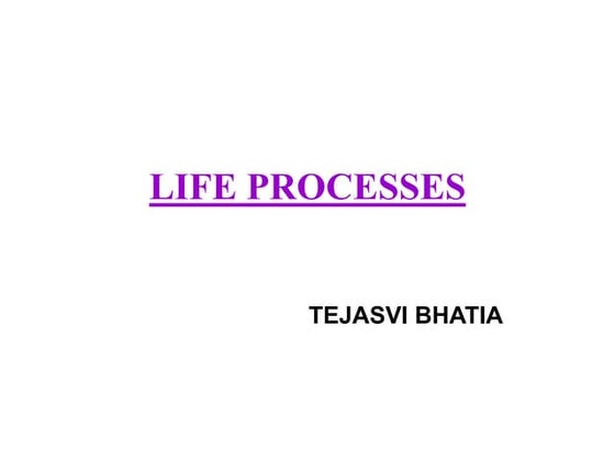 Life Processes Class 10th PPT | PPTX | Lung and Respiratory Health ...