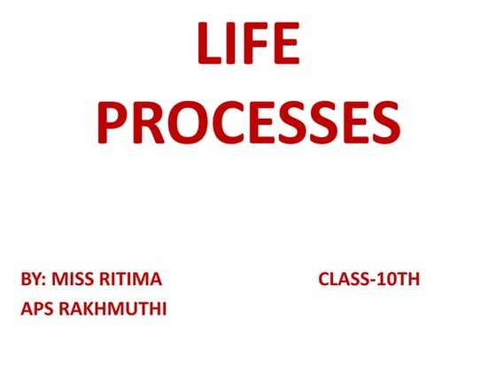 Life Processes Class 10th Ppt Ppt