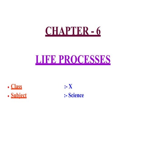 Life Processes for Class 10 | PPTX
