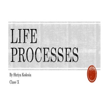 Life processes | PPT