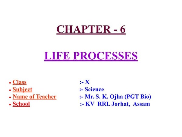 Life Processes For Class 10 Ppt