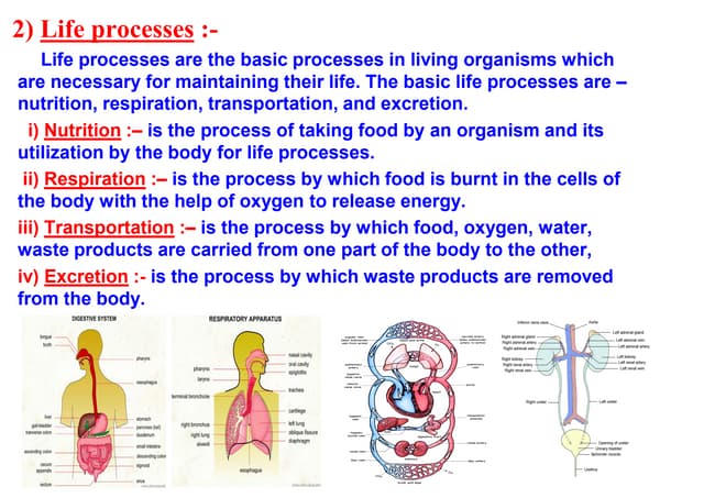 chapter1 bio class 10 ppt for bio .pptx