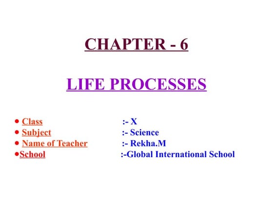 Life processes.ppt | Nutrition | Healthy Living