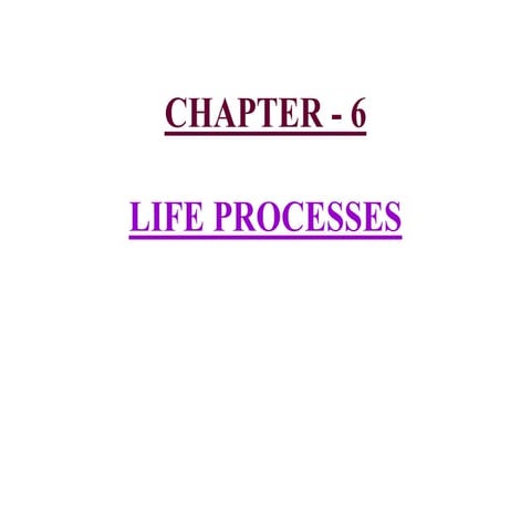 Life Processes Class X SCIENCE CBSE PPTX | PPTX