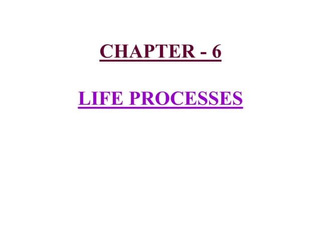 Life Processes Class 10th PPT | PPTX