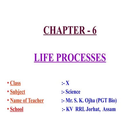 life_processes class 10 presentation notes | PPTX