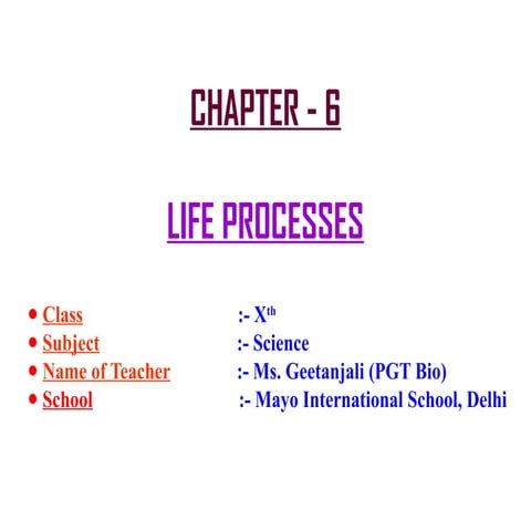 Life Processes Class 10th PPT | PPTX
