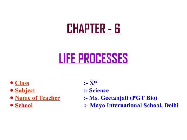 Life Processes Class 10th PPT | PPTX