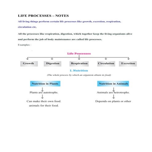 Life processes notes | PDF