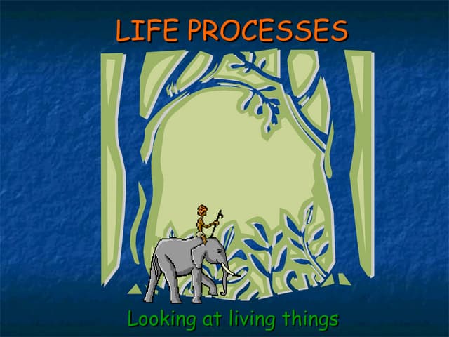 Life processes UNIT 3 YEAR 3 LIVING THINGS | PPTX