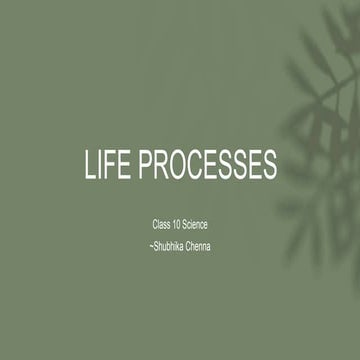LIFE PROCESSES ( Part-1) | PPTX