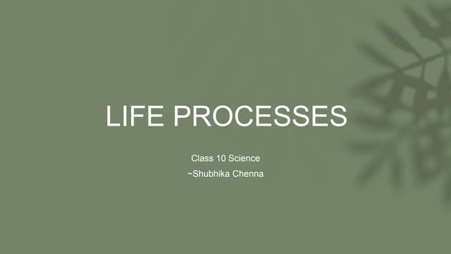 Life Processes Class 10th PPT | PPTX