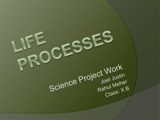 Life Processes Class 10th Ppt