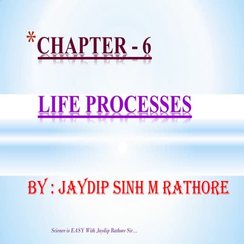 Life Processes Chapter 6 new.pdf