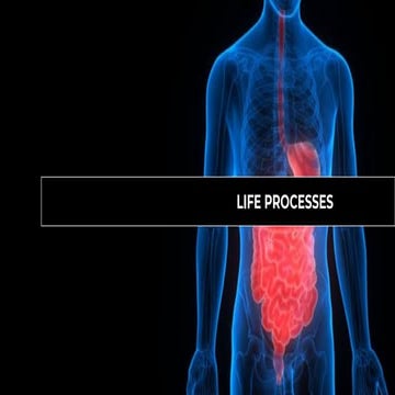 Life Processes Excretion ncert notes .pdf