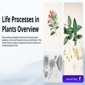 Life Processes in plants .pptxvvbbhhjjjjj | PPTX