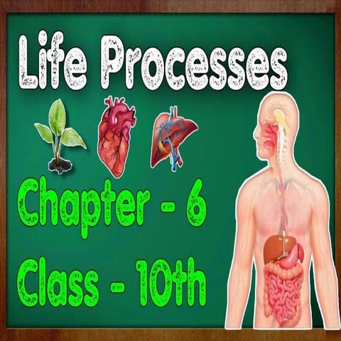Life Processes cbse | PPTX