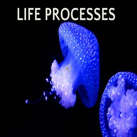 life processes ppt.pptx class 10 cbse. Important | PPT