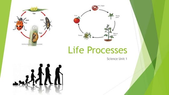 Life Processes Unit 1 (1).pptx