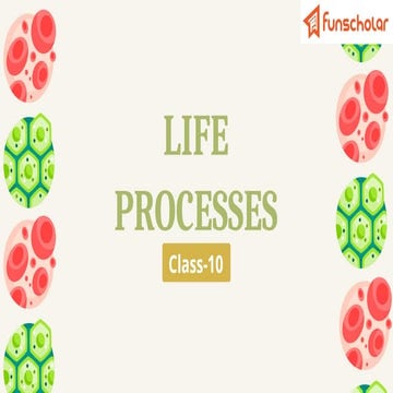 Life Processes - Short Notes (Prashant Kirad).pdf