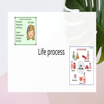 Life process grade 10.pptx how life process | PPTX