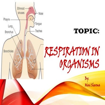 class 10 chapter-1 Life process (Respiration).pptx