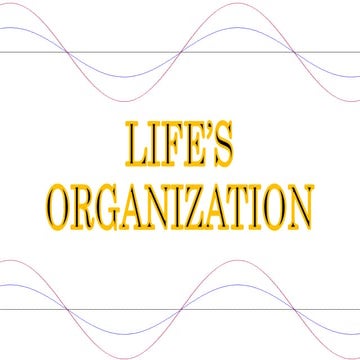 Life's Organization Ggrade Seven Science | PPT