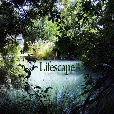 Lifescape | PDF