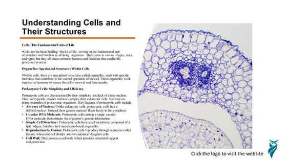 Ultrastructure of prokaryotic and eukaryotic cells | PPTX