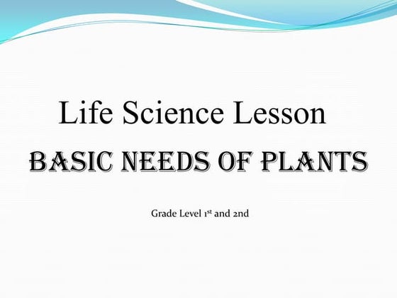 All about plants! newsletter | PPT