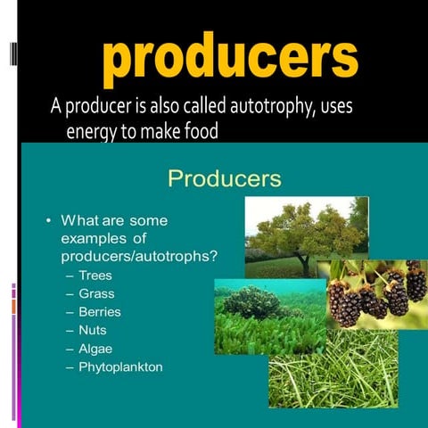 producers | PPT