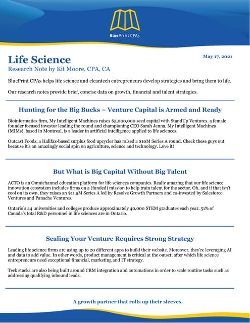 What does a Chief Marketing Officer do? | PDF