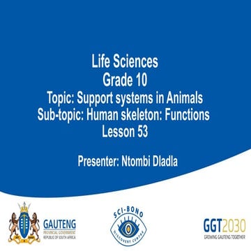 Life Sciences Gr.10 Lesson 53 Support systems in animals. Functions of ...