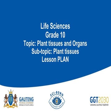 Life Sciences Gr.10 Lesson 42 Plant tissues (4).pdf