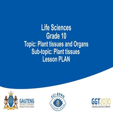 Life Sciences Gr.10 Lesson 42 Plant tissues.pptx