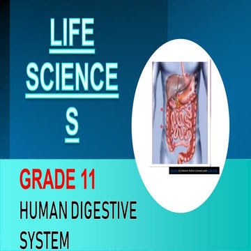 LIFE_SCIENCES_PRESENTATION_GRADE_11 HUMAN DIGESTIVE SYSTEM.pptx