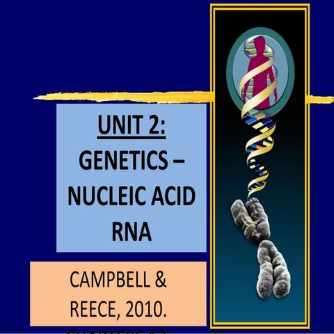 Life science unit 3 | PPT